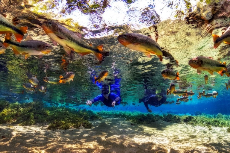 Atrativos do Grupo Rio da Prata completam 10 anos de Certificação em ...